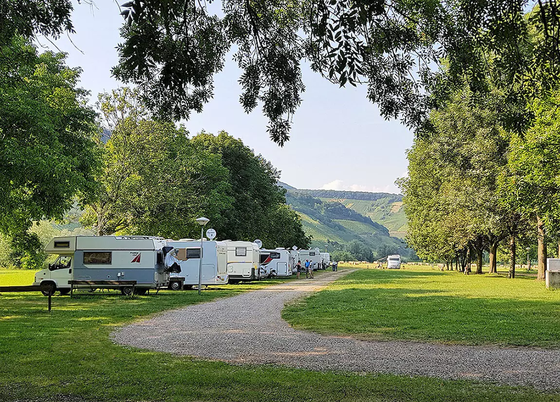Moselstellplatz Wintrich - Urlaub am Moselufer