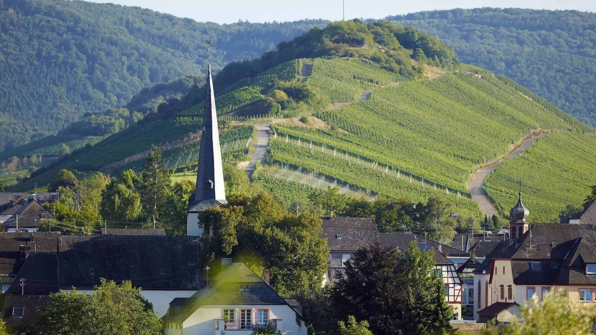 Gerichtssiegel - Auf den Spuren von Wintrich